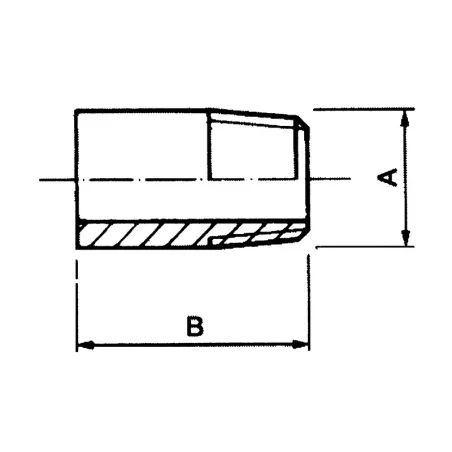 Male tip - NPT thread - Schedule 80 - 316L - Piping accessory 3000 ...