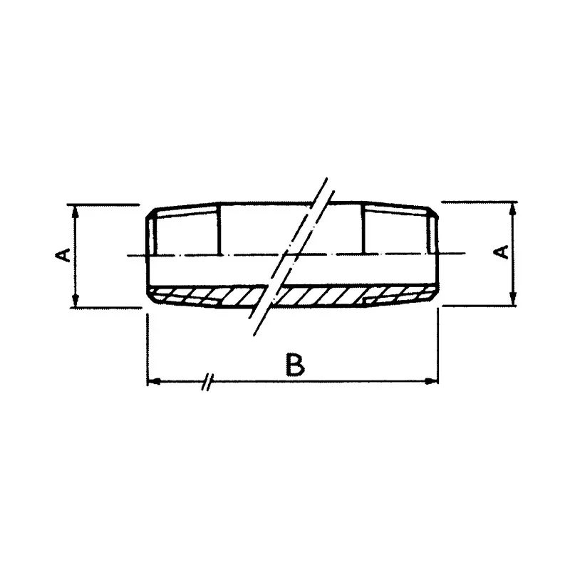 Pipe nipple - NPT thread - Schedule 80 - 316L - Piping accessories 3000 Series LBS - SOFRA-INOX