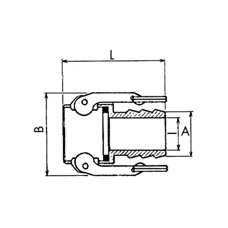 Grooved coupling type C - Camlock stainless steel 316 - SOFRA-INOX