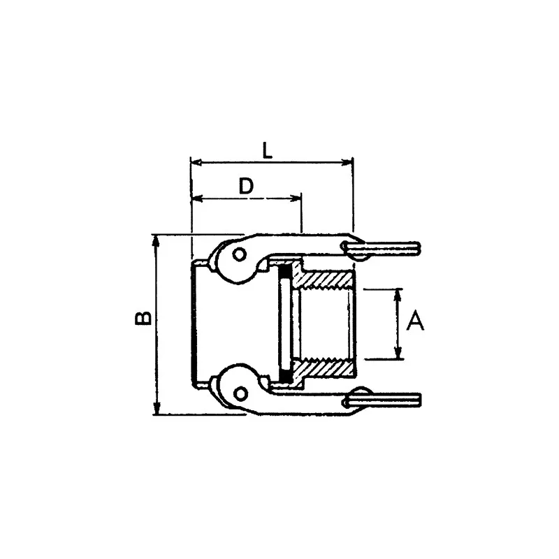 Female coupling type D - Camlock stainless steel 316 - SOFRA-INOX