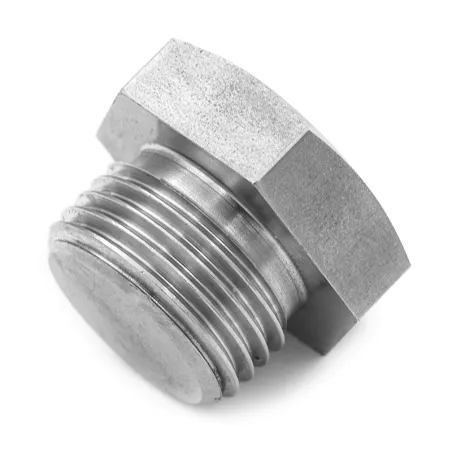 Hexagonal head male cap (TH) - Gas cylindrical thread - 316L - EN 10272 ...