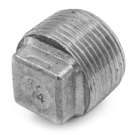 Square head male cap - gas thread - 316L - SOFRA-INOX
