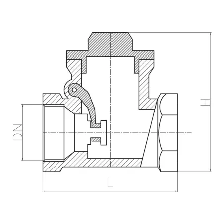Swing check valve AISI 316 - SOFRA INOX