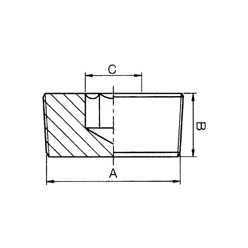 Male hexagonal hollow cap - NPT thread DIN 906 - stainless steel 316 ...