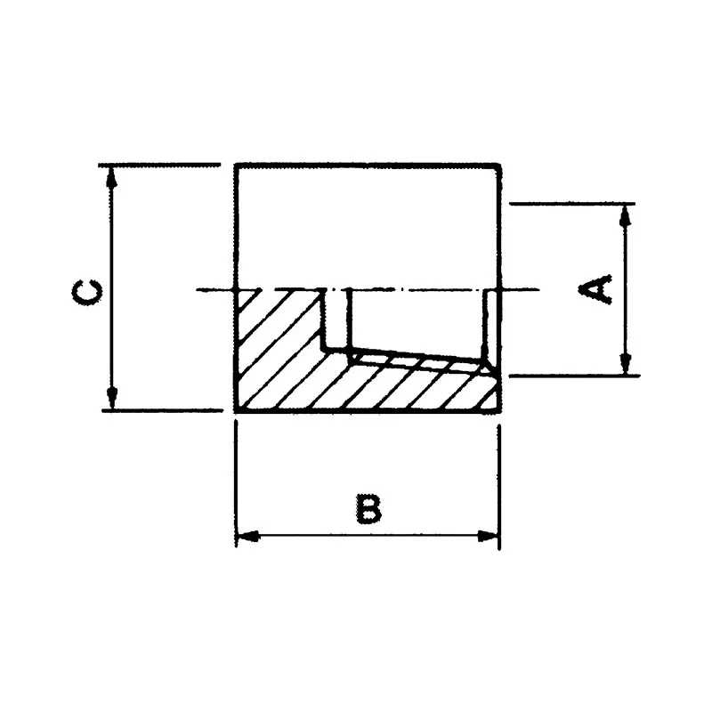 Threaded female cap NPT - 316L - Piping accessory 3000 Series LBS ...