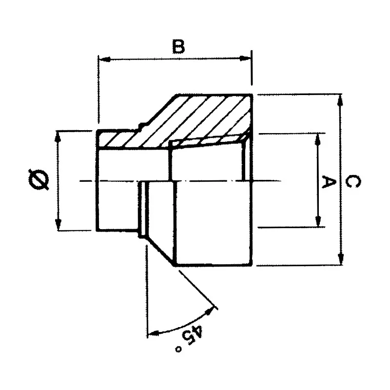 Welding boss - NPT thread - 304L - Welding accessory 3000 LBS series ...