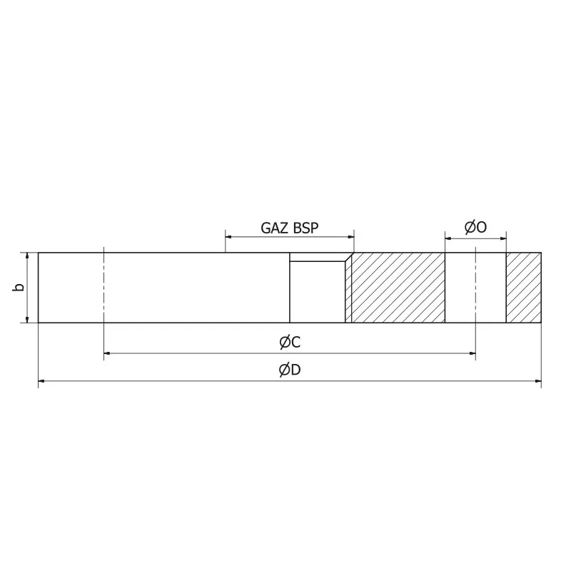 Threaded flat flange BSP PN10/16 - 316L - SOFRA INOX