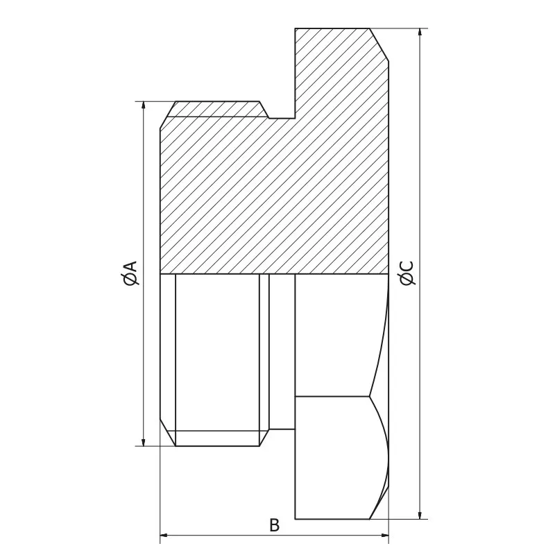 Hexagonal head male cap (TH) - Gas cylindrical thread - 316L - EN 10272 ...