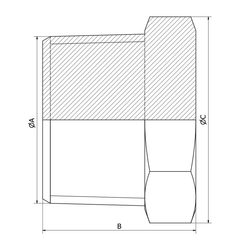 Tapered male cap - NPT thread - EN 10272 - SOFRA-INOX