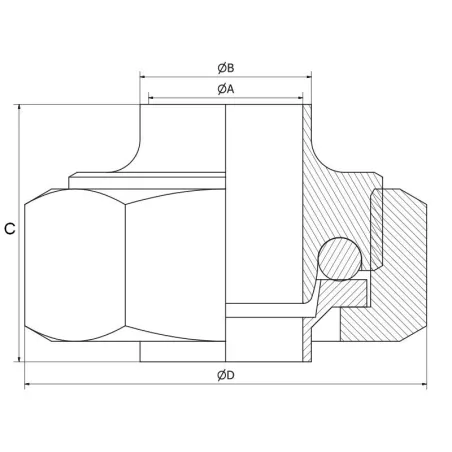 RJT Food Fitting complete with hexagonal nut - SOFRA INOX