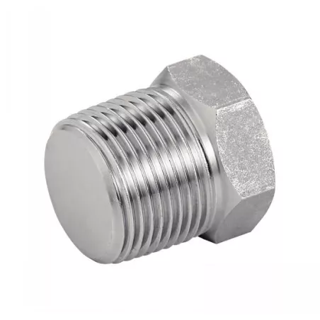 Male Hex Head Cap NPT - 316L - Piping accessory 3000 Series LBS - SOFRA ...